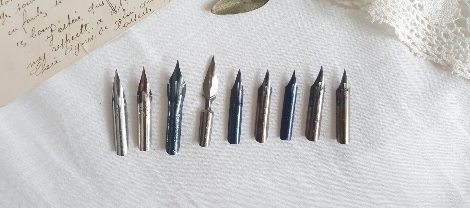 Les plumes : anatomie, lesquelles pour débuter, où les trouver, etc.